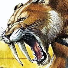 SaberCat | Audio Science Review (ASR) Forum